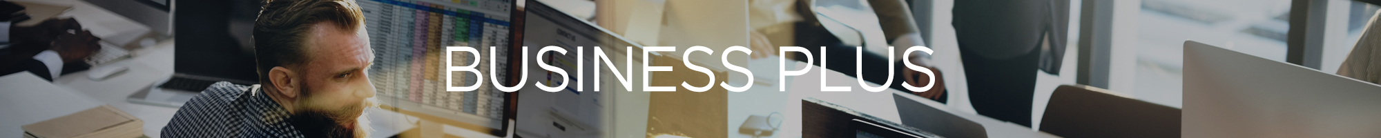 Business Plus Checking | ANB Bank